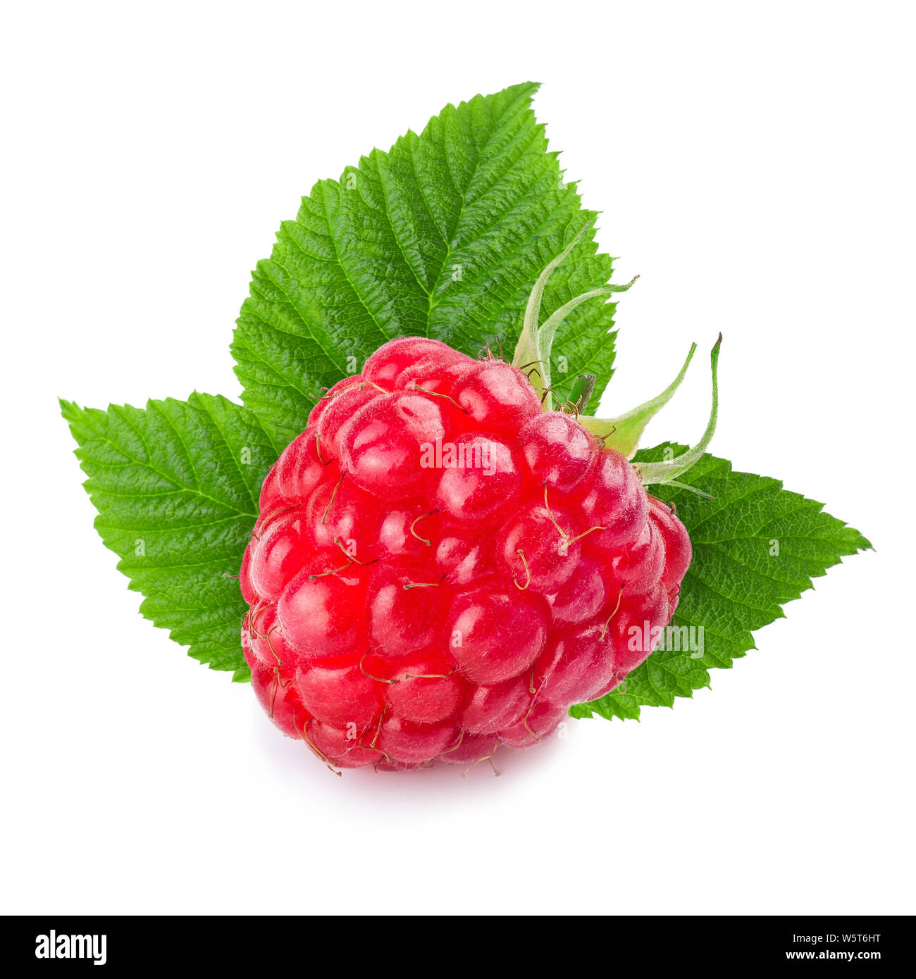 raspberry isolated on white Stock Photo - Alamy