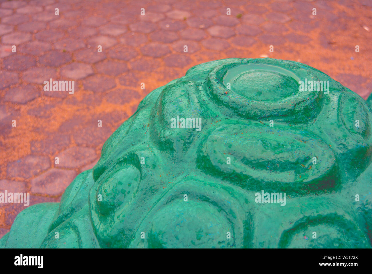 A fragment of wet imitation of concrete shell of turtle with green ...