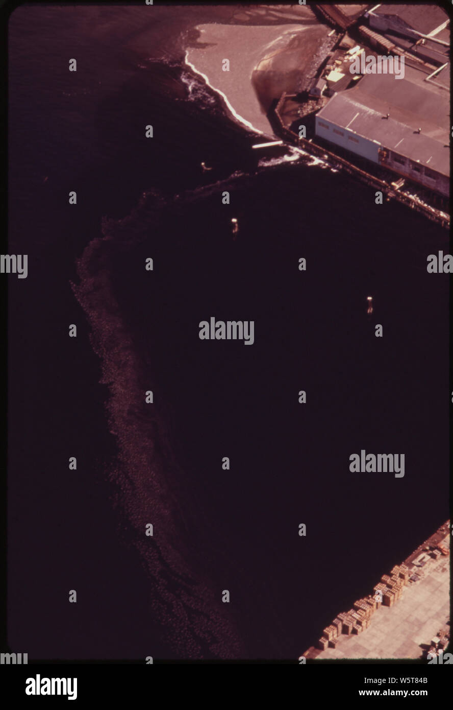 PULPING WASTE FROM ITT RAYONIER SULPHITE PULP MILL DISCOLORS WATER ...