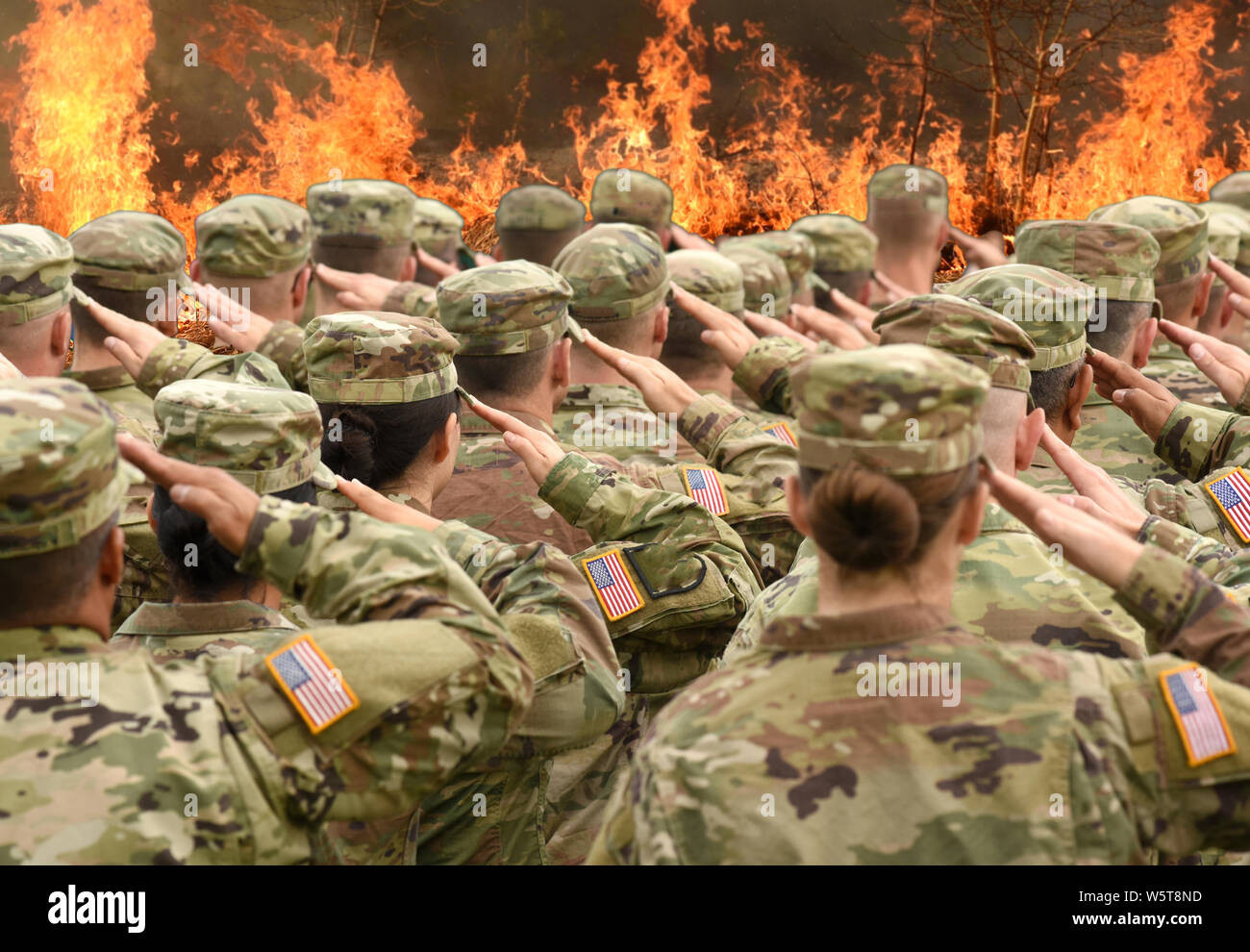 Saluting american troops hi-res stock photography and images - Alamy