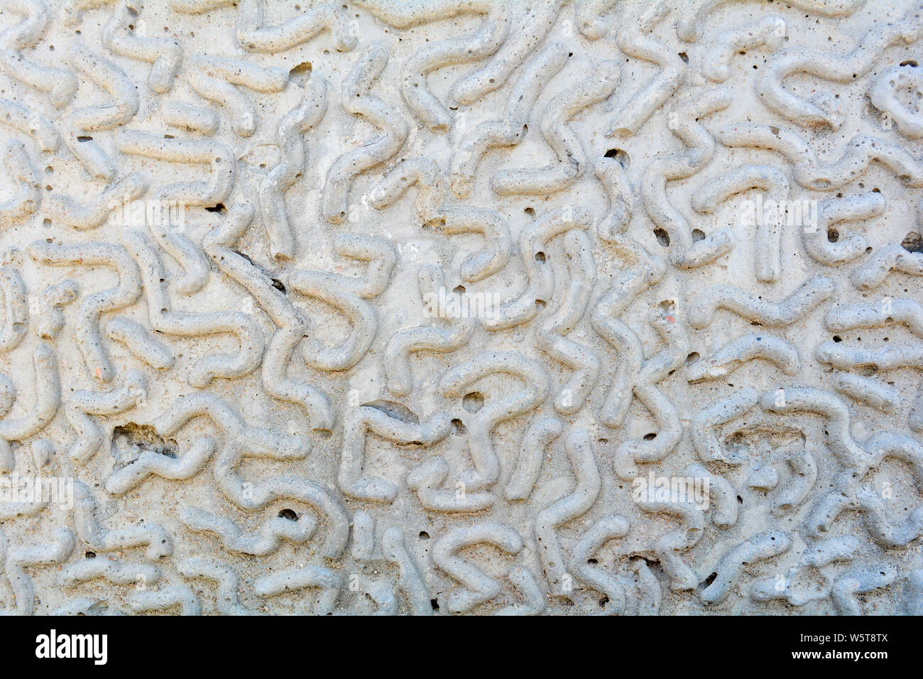 Close-up of abstract carved stone texture with worm or caterpillar ...