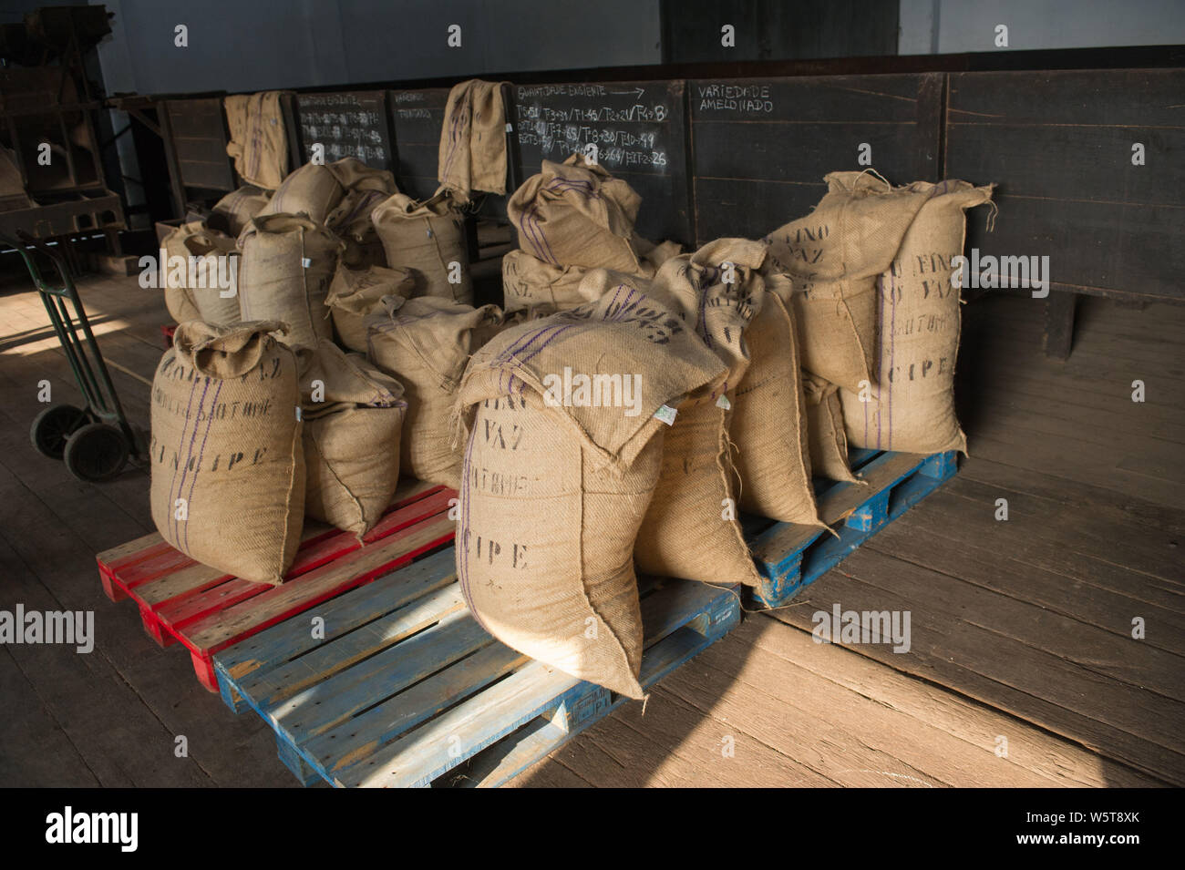 Sack of cocoa beans hi-res stock photography and images - Alamy