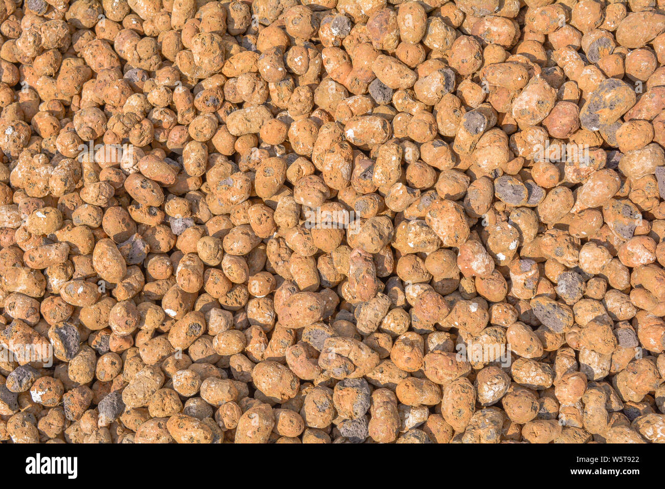 Texture of expanded clay aggregate gravel. Orange clay material for ...