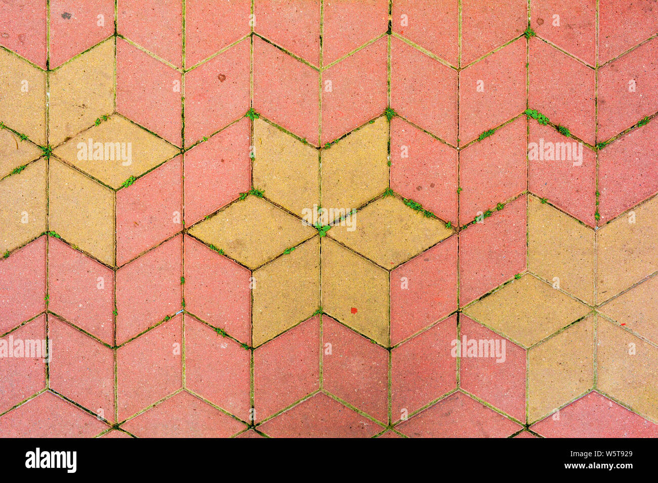 Red and yellow road tiles on city street pavement with growing grass in ...