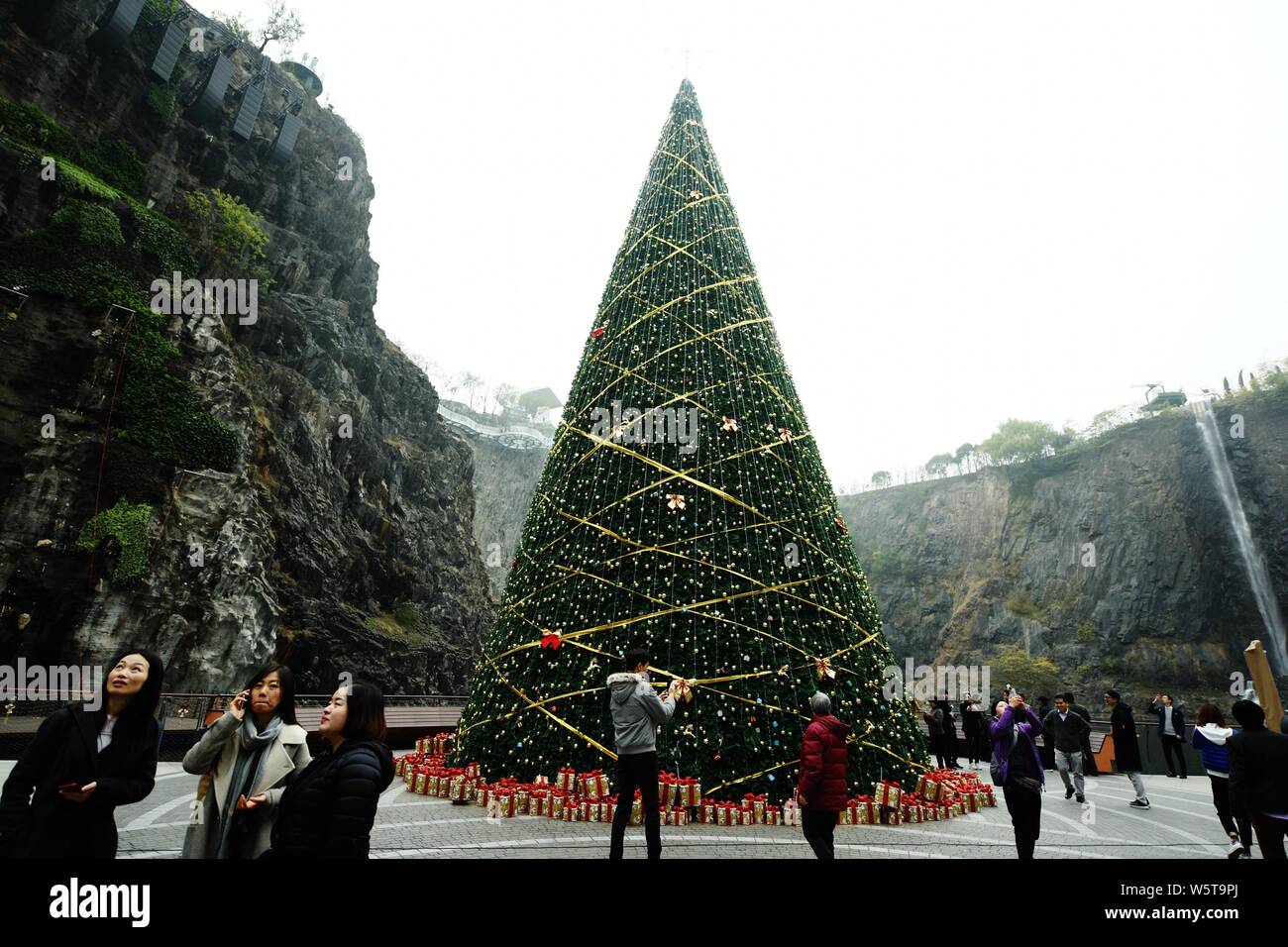 View of a 30-meter-tall Christmas tree at the five-star Shanghai ...