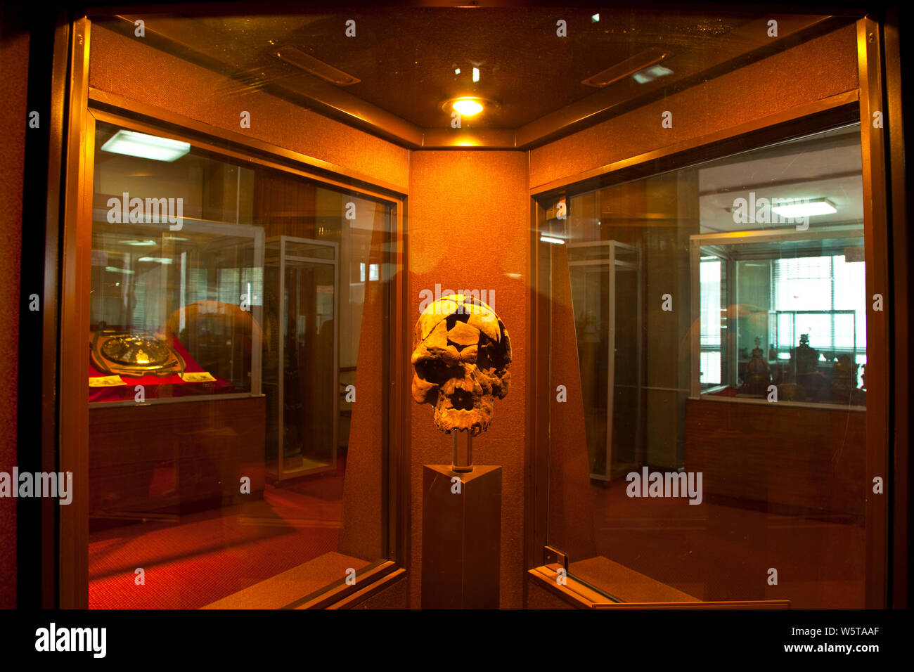 Homo sapiens idaltu 160.000 a.c, Museo Nacional de Etiopia, Addis Abeba ...