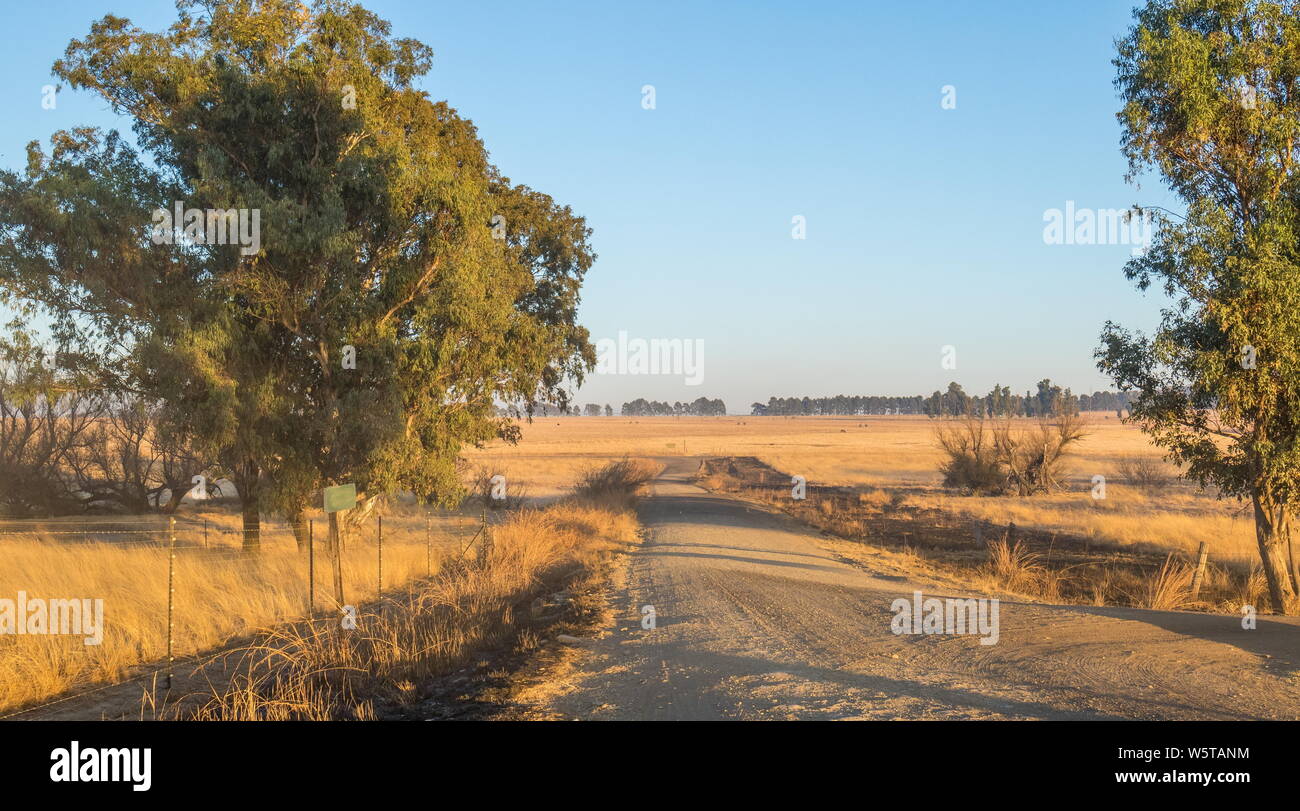 Winter farm landscape kwaZulu-Natal midlands region in South Africa ...