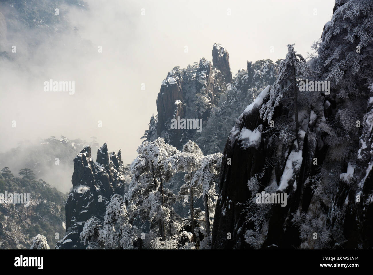 Landscape of snow-covered trees at the Huangshan Mountain scenic spot in Huangshan city, east ...