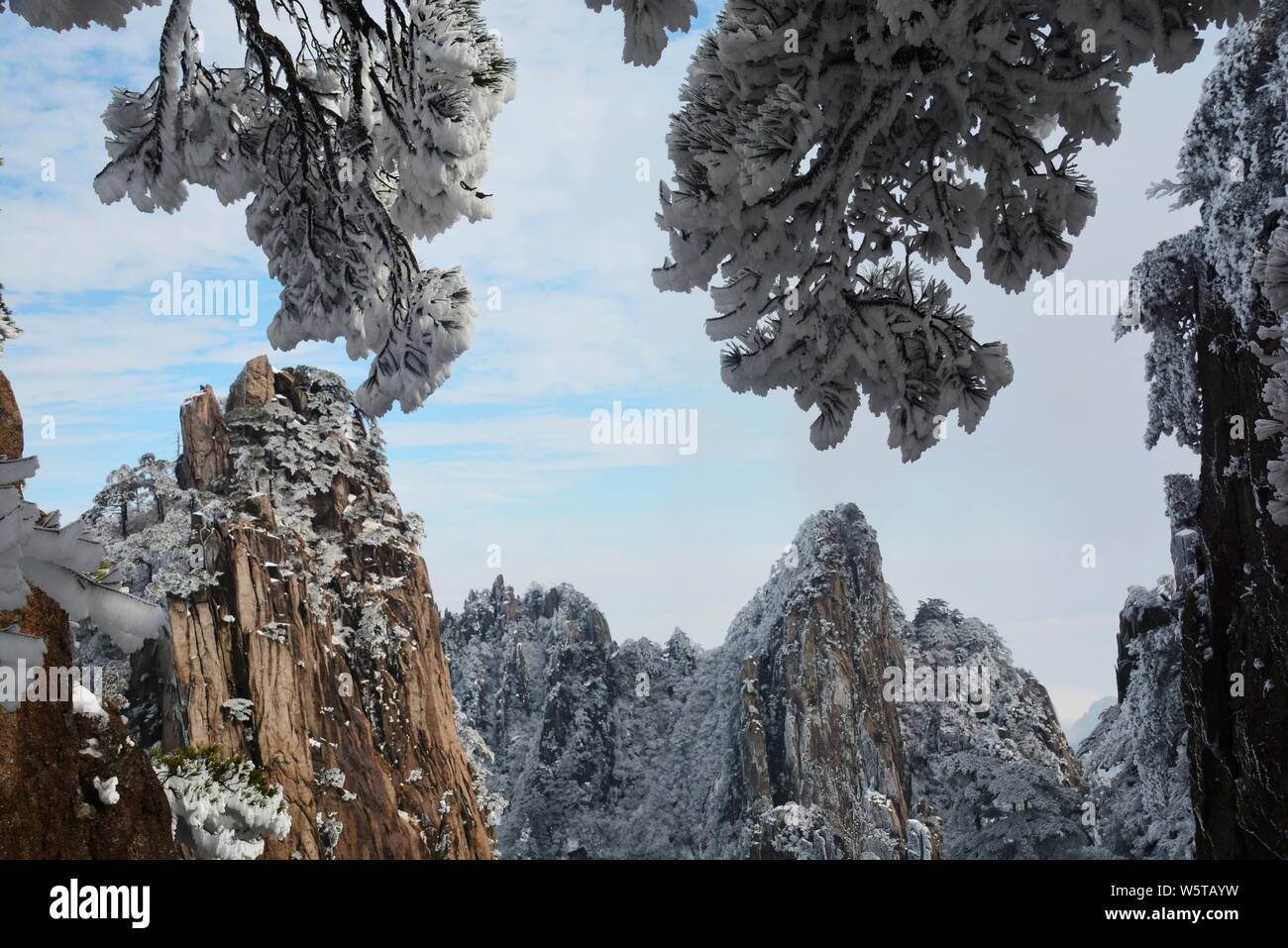 Landscape of snow-covered trees at the Huangshan Mountain scenic spot in Huangshan city, east ...