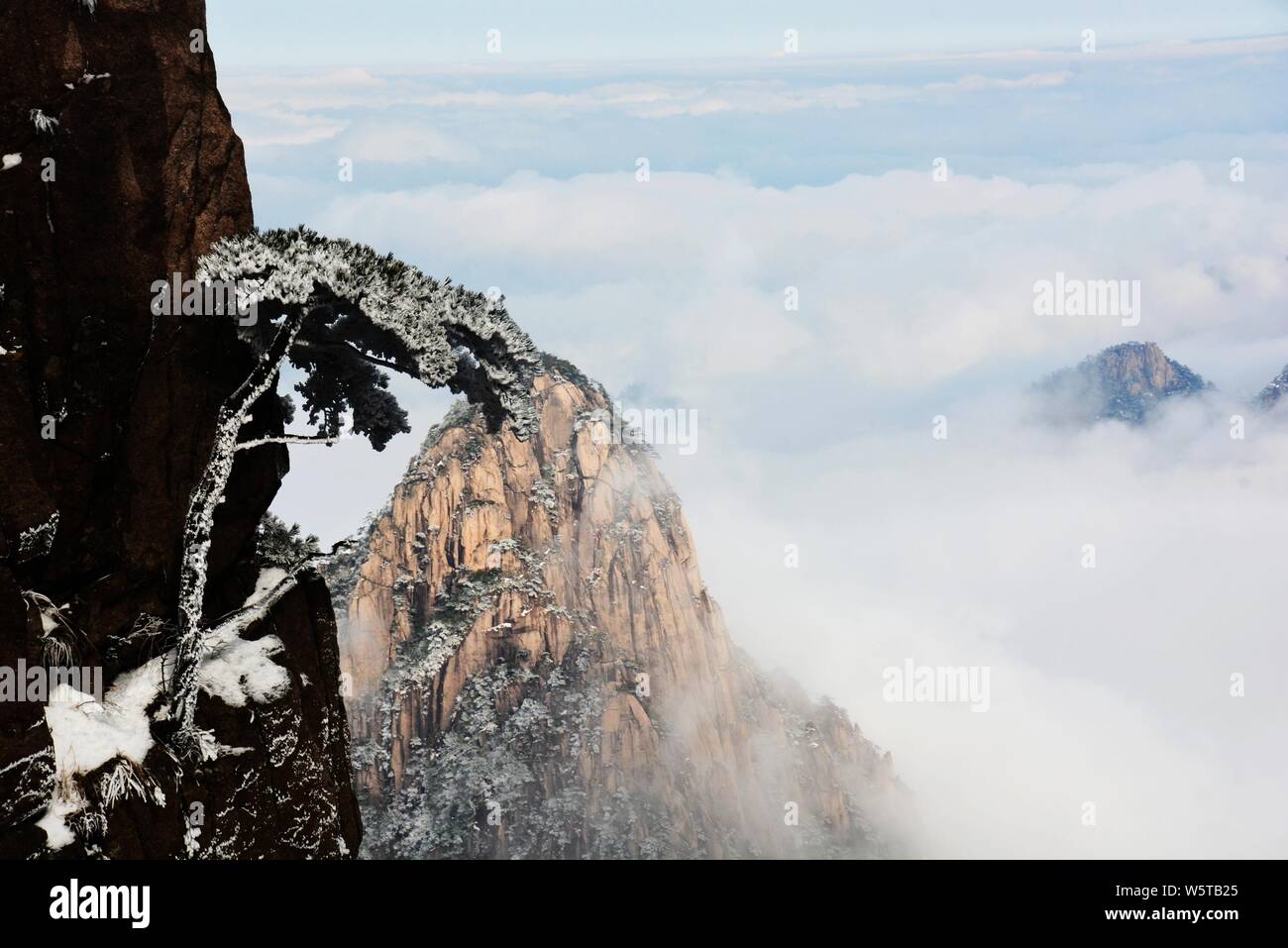 Landscape of snow-covered trees at the Huangshan Mountain scenic spot in Huangshan city, east ...