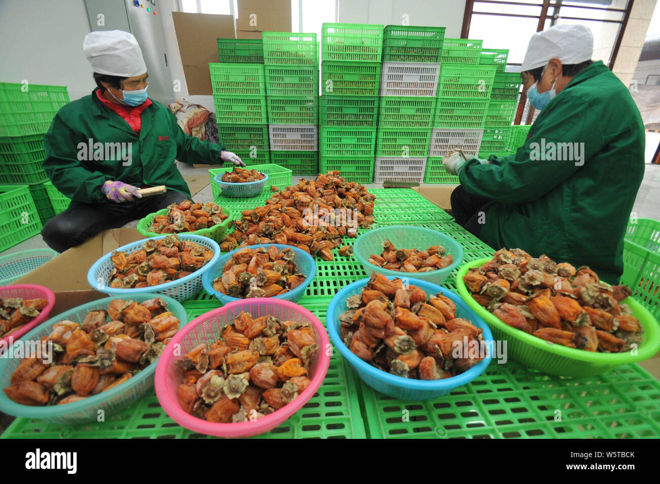 Workers deal with dried persimmons in the Taibai village of Fuping ...