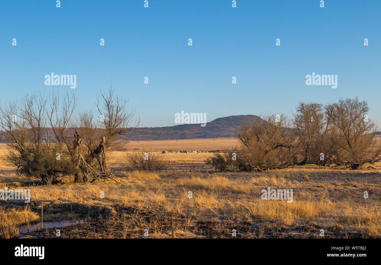 Winter farm landscape kwaZulu-Natal midlands region in South Africa ...