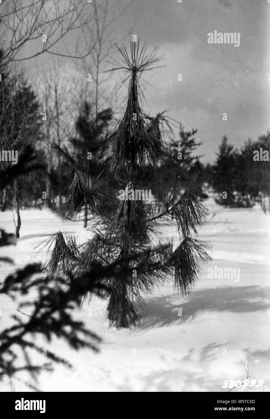 Same appearance Black and White Stock Photos & Images - Alamy