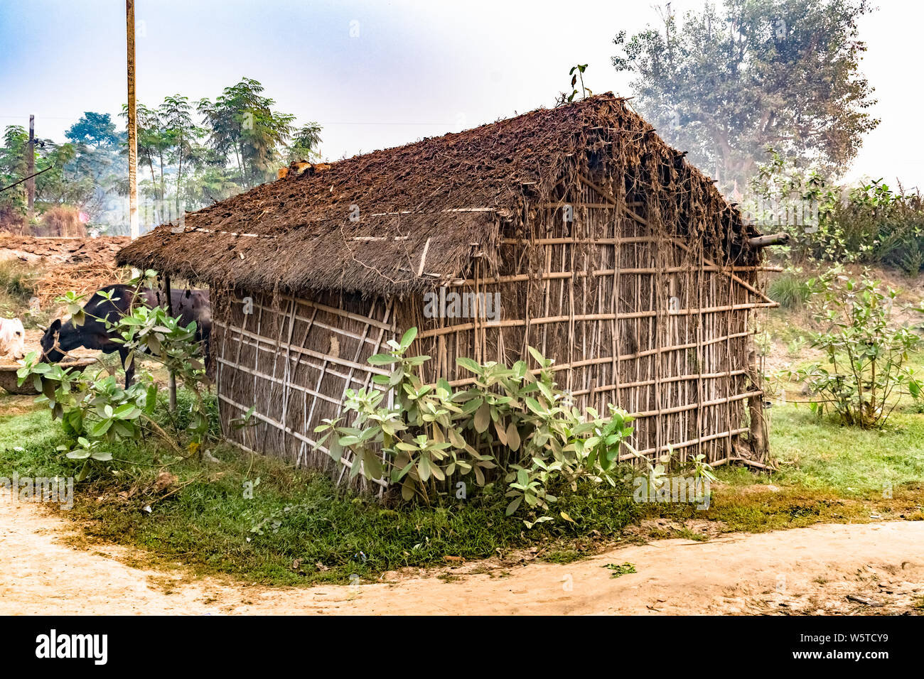Hut made of sticks hi-res stock photography and images - Alamy