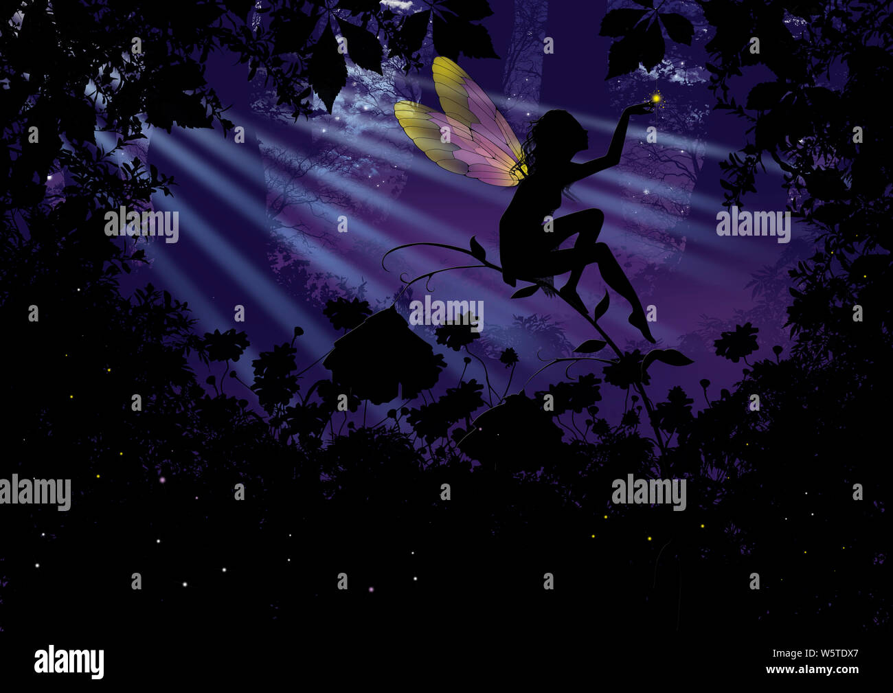 Fairy Magic. Artwork depicting Fairies silhouetted against the night ...