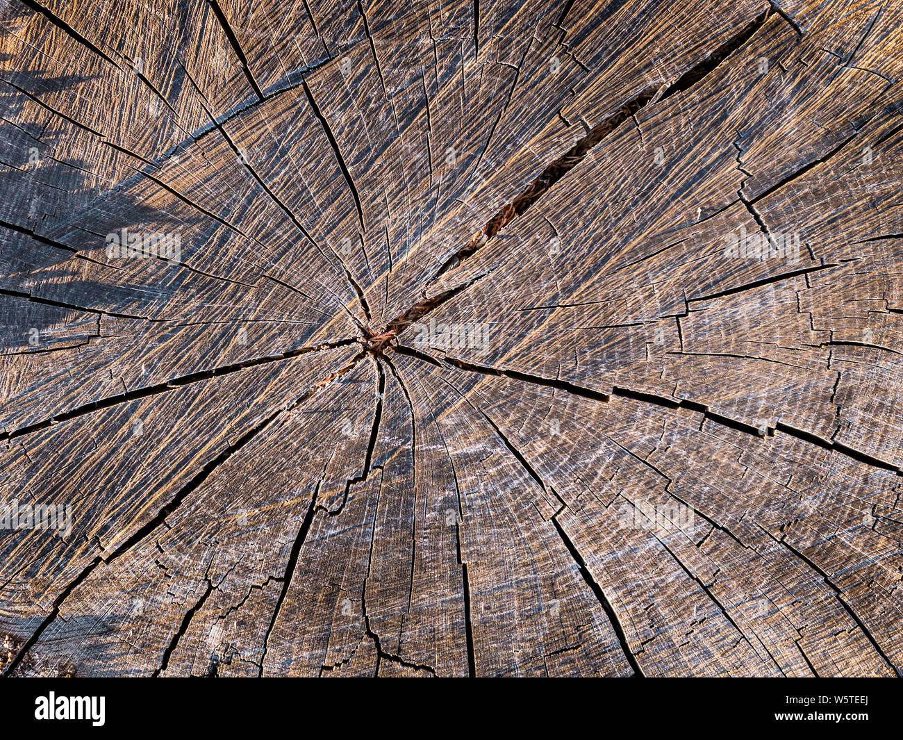 Cut marks hi-res stock photography and images - Alamy