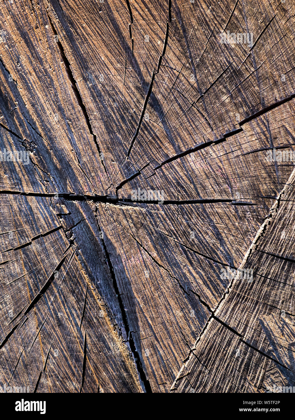 Cut marks hi-res stock photography and images - Alamy