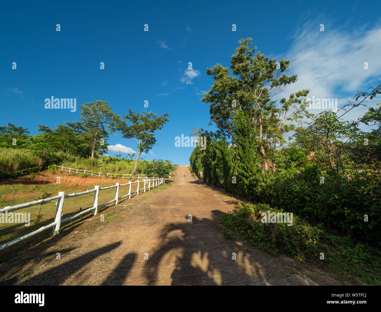 Landscape View of Beautiful Street with Green Tree and Blue Sky Stock ...