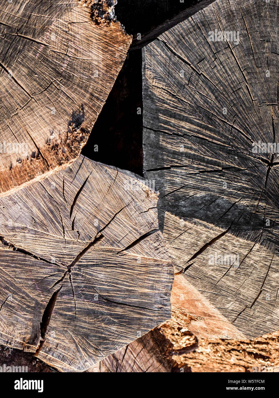 Cut marks hi-res stock photography and images - Alamy