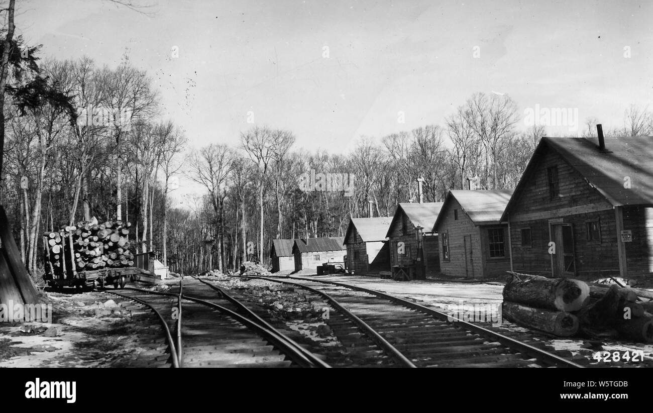 Photograph of Connor's Logging Camp; Scope and content: Original ...