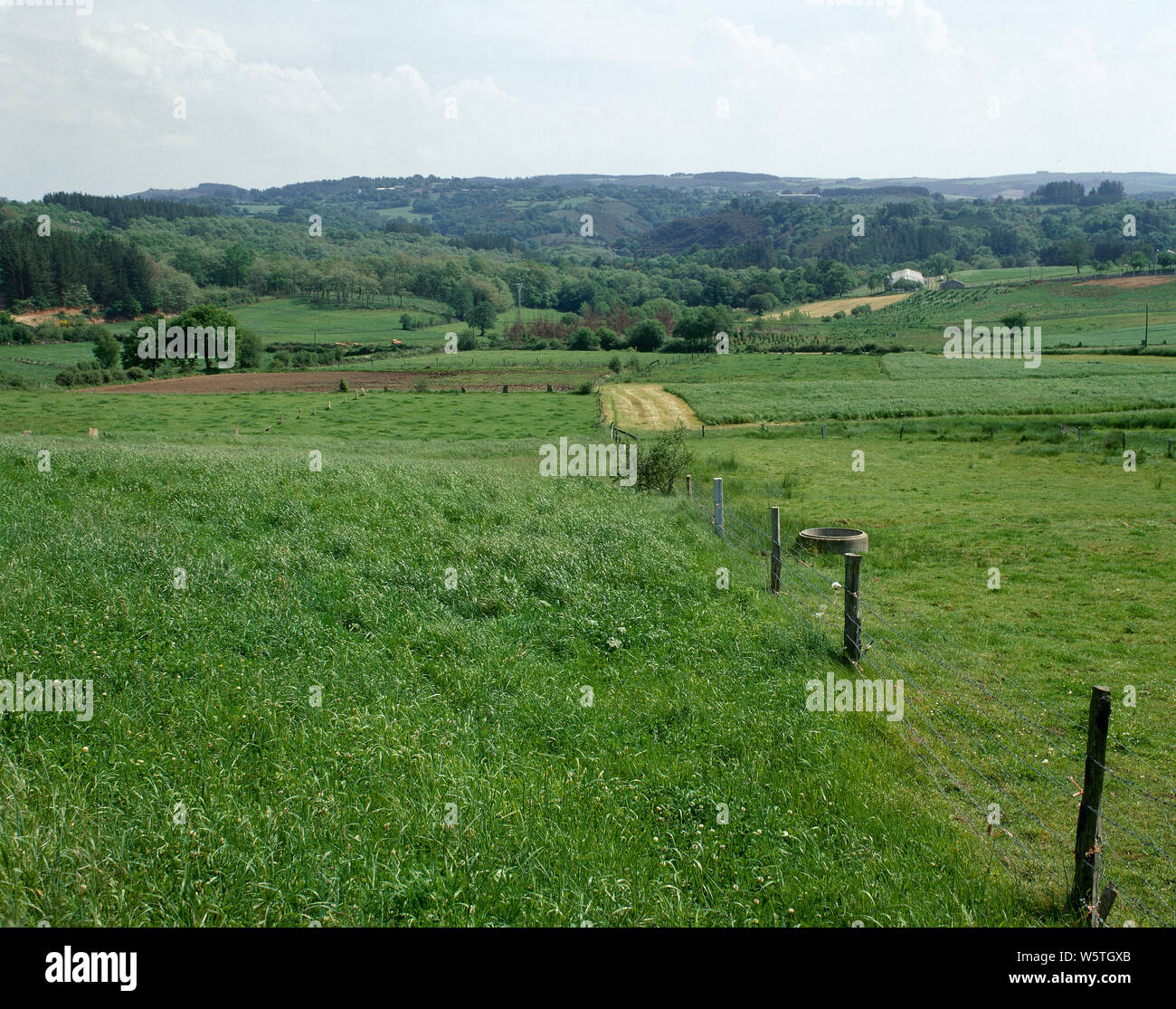 Guntin hi-res stock photography and images - Alamy