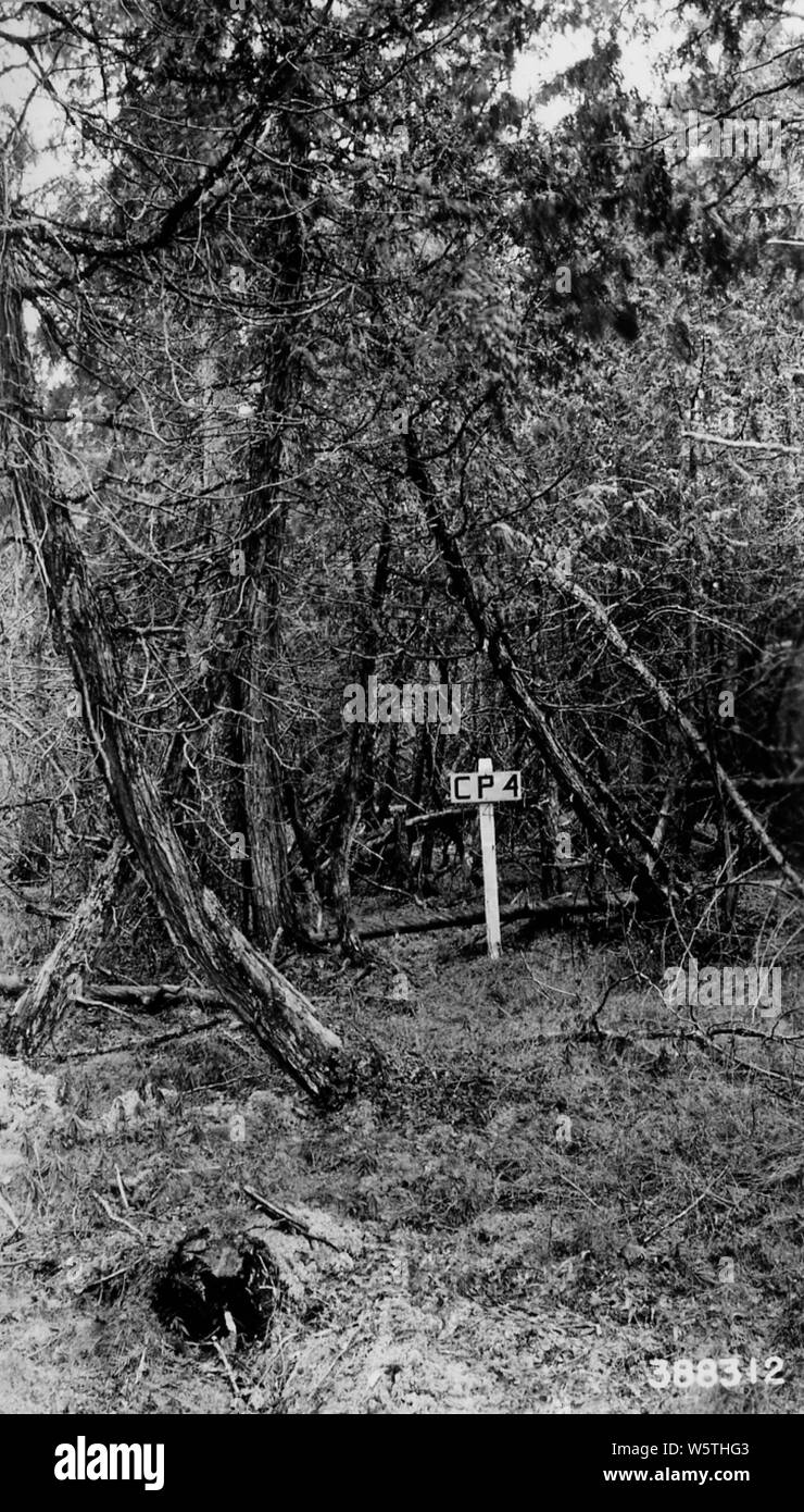 Photograph of Deer Browse Study Plot; Scope and content: Original ...