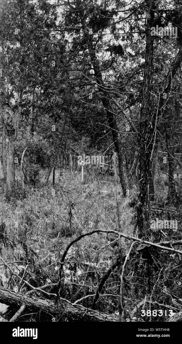 Photograph of Deer Browse Study Plot; Scope and content: Original ...
