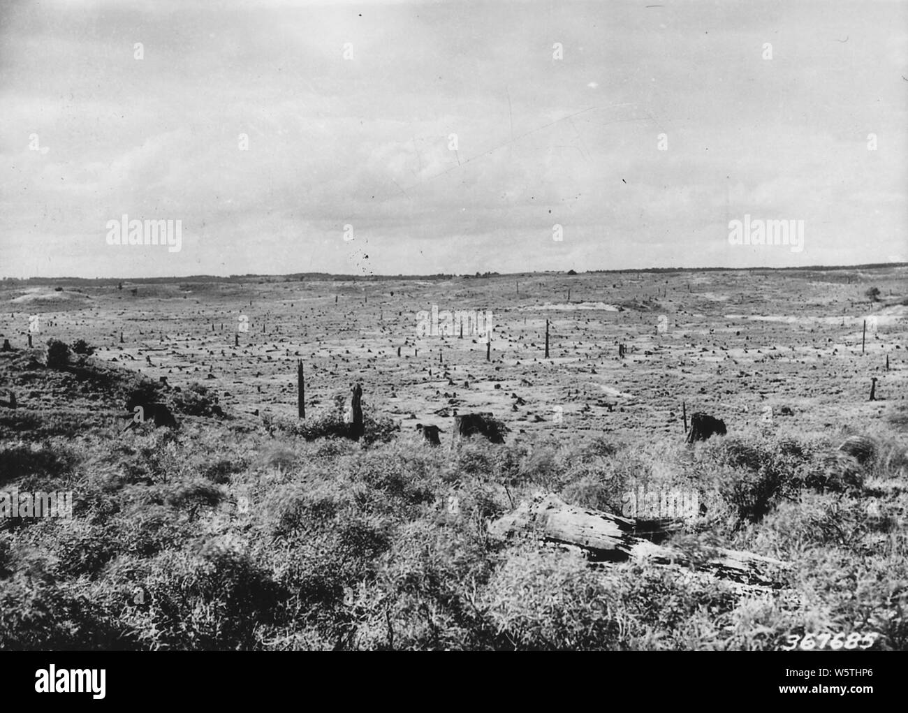 Photograph of Denuded Forest Lands Not Restocking; Scope and content ...