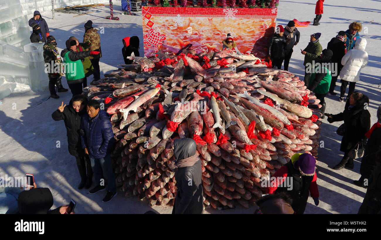 Tourists look at a 10-meter-long "fish wall" composed of more than ...