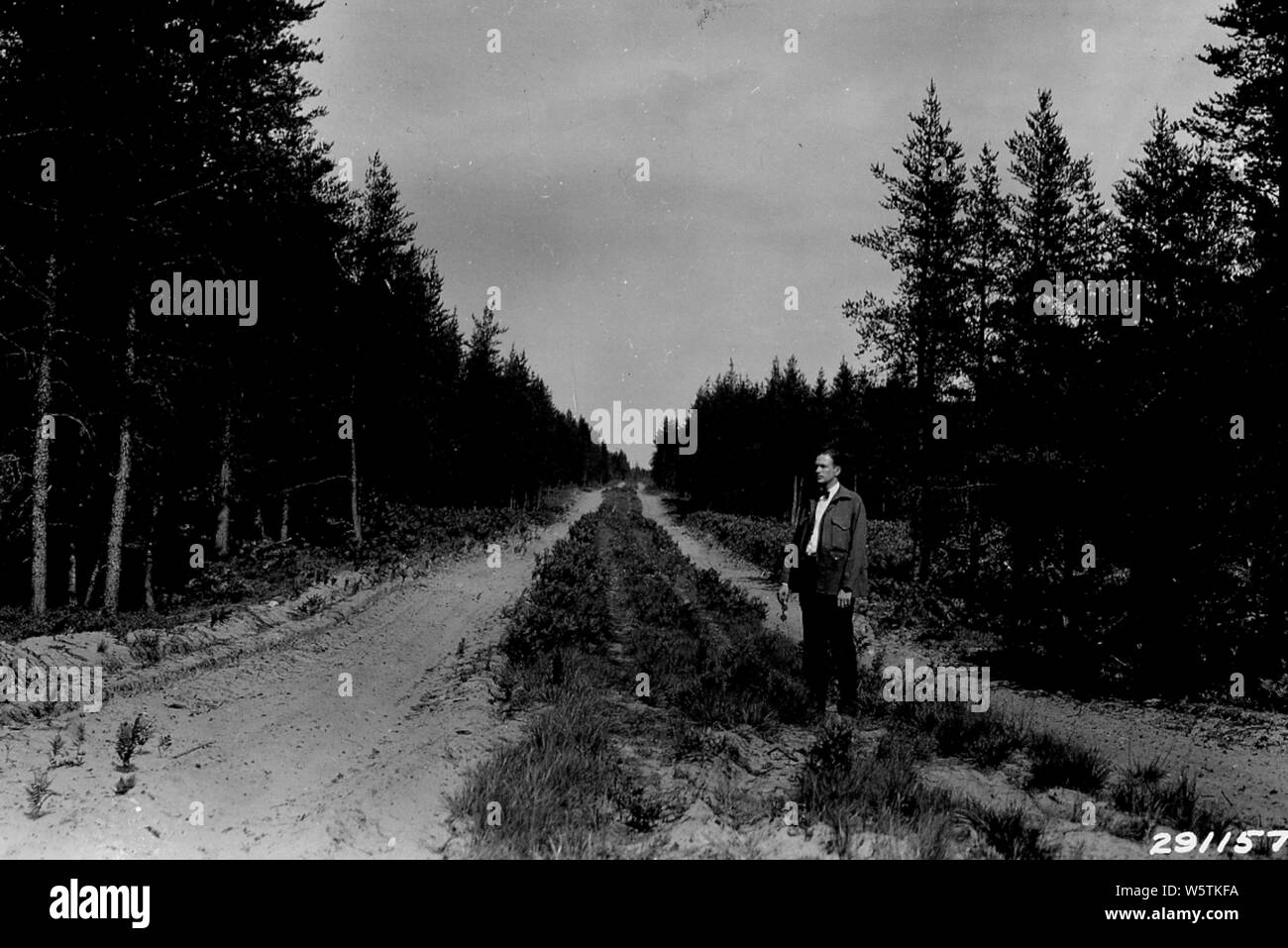 Photograph of Fireline Two Disced Strips with Center Roadway; Scope and ...