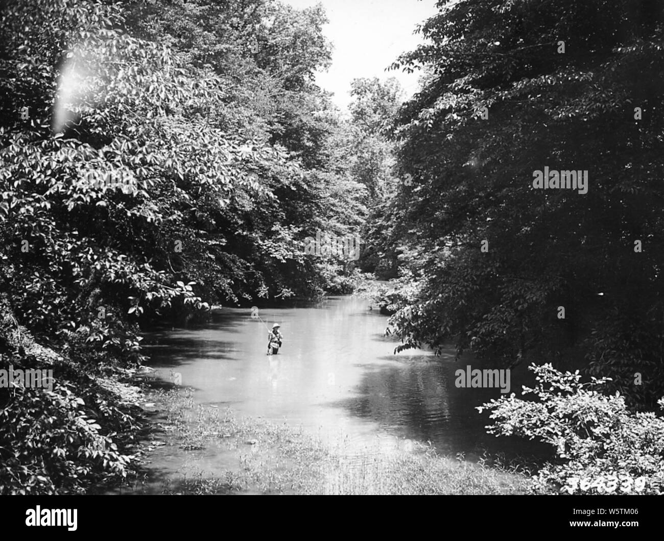 Photograph of Fly Fishing on Bay Creek; Scope and content: Original ...