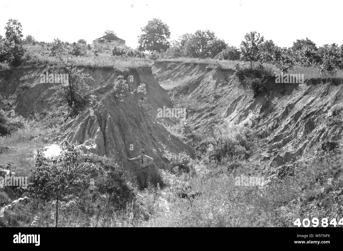 Photograph of Gully Erosion; Scope and content: Original caption: Gully ...