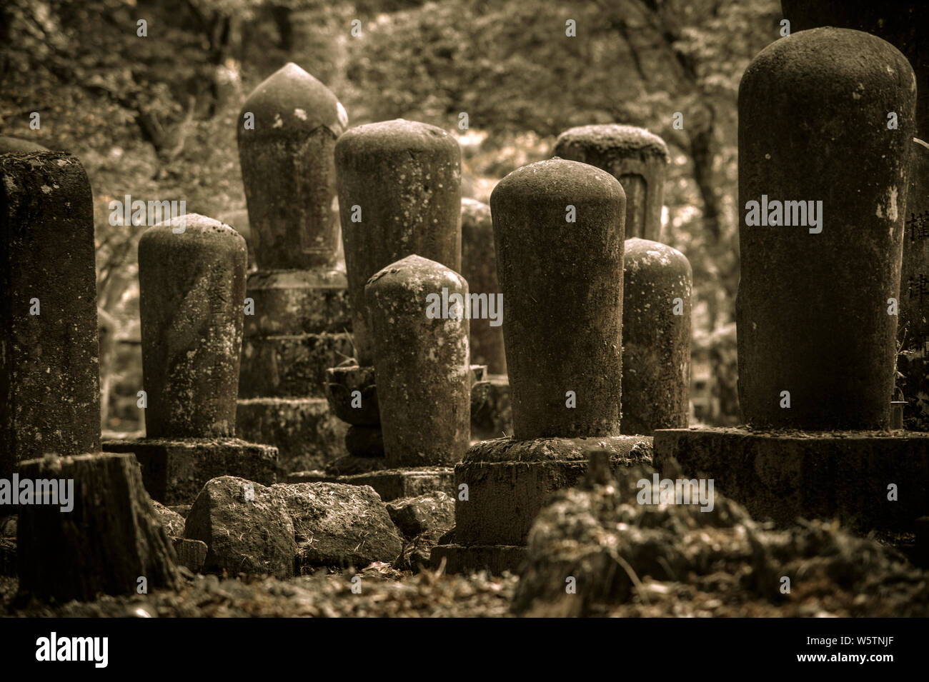 Tombstones on an ancient Japanese cemetery Stock Photo - Alamy