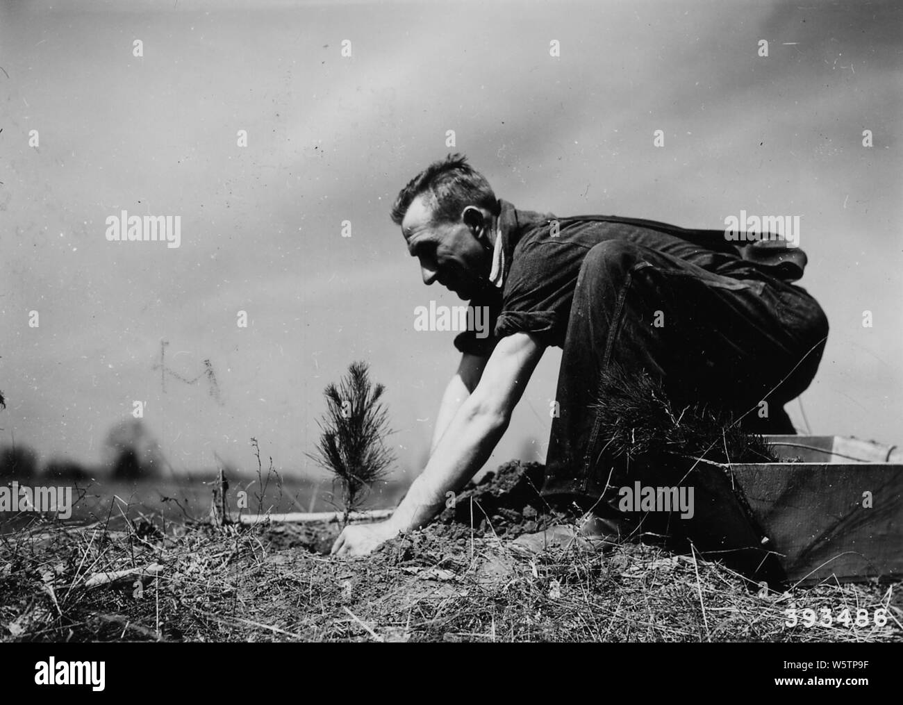 Photograph on planter Black and White Stock Photos & Images - Alamy