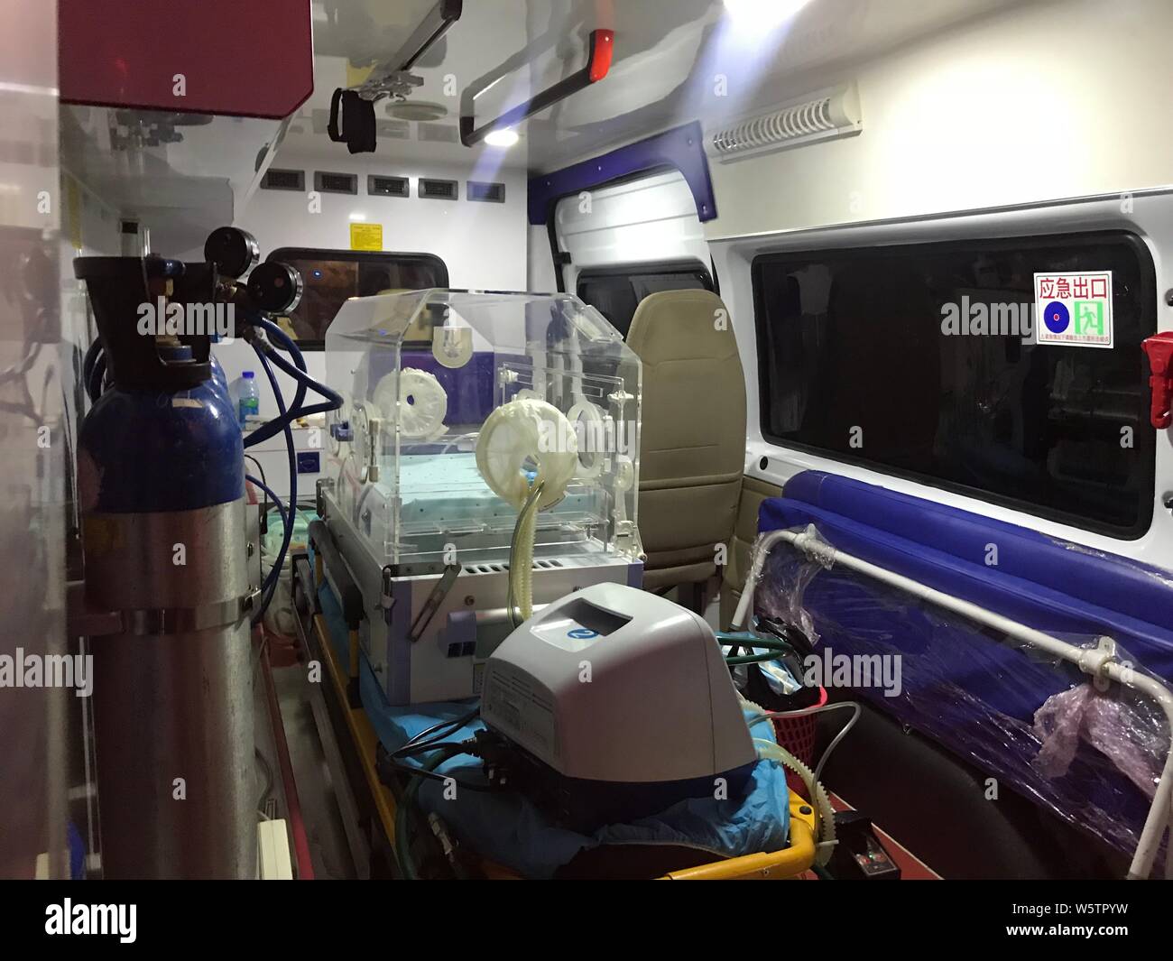 Plam sized hi-res stock photography and images - Alamy