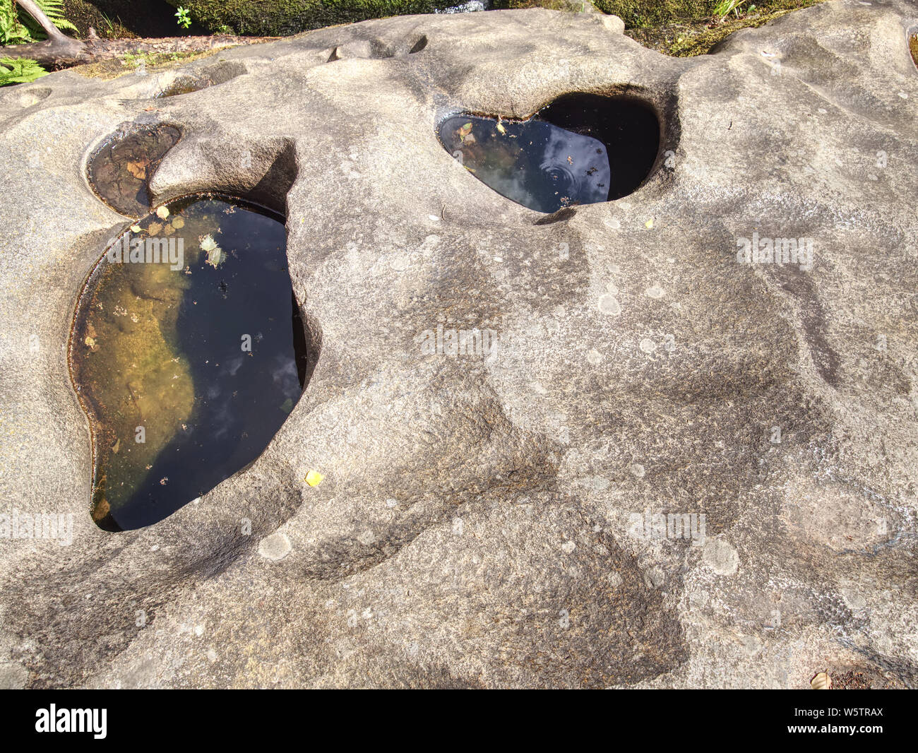 Many holes eroded into the rock along Vltava river. Water inside the ...
