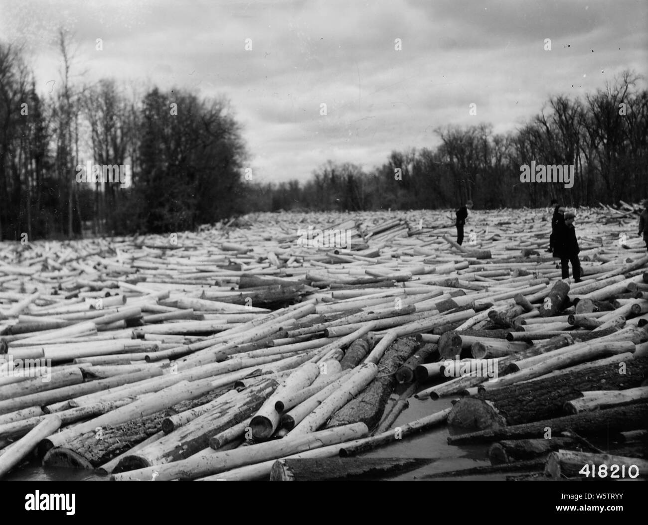 Photograph of Log Jam; Scope and content: Original caption: Log jam ...