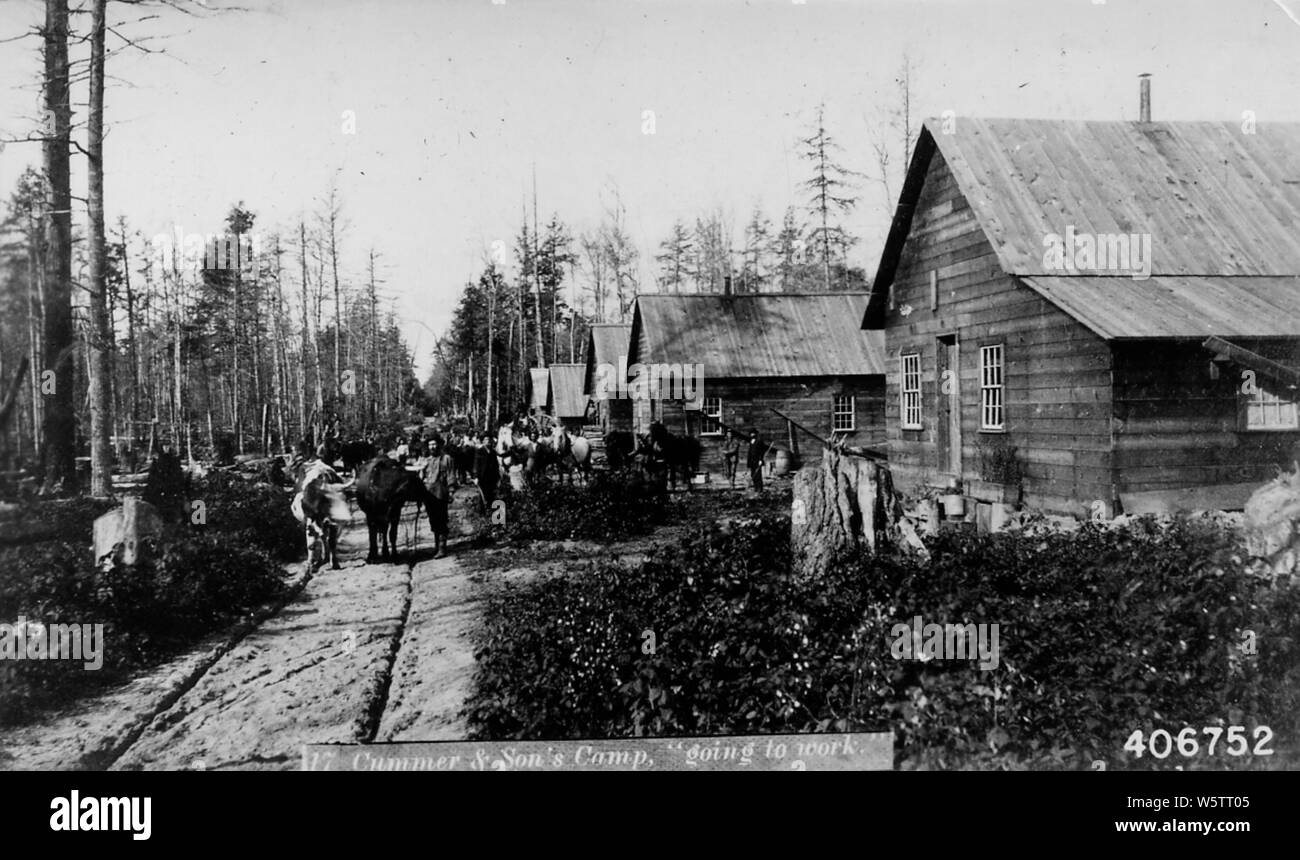 Photograph of Logging Camp at Work; Scope and content: Original caption ...