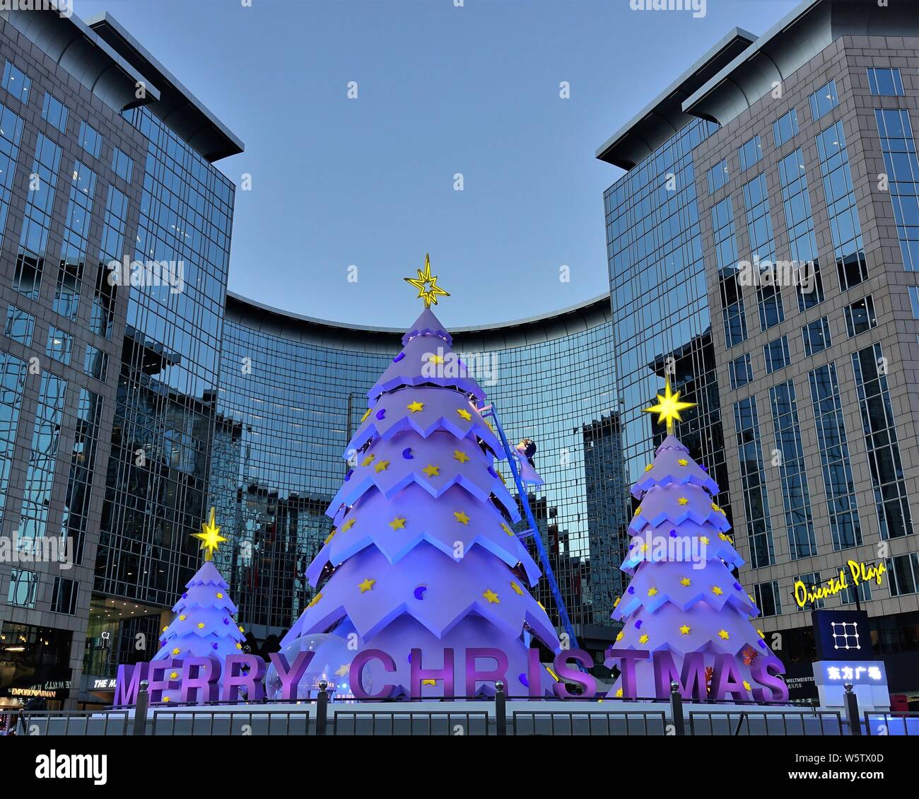 View of the Christmas trees to celebrate the upcoming Christmas at the ...