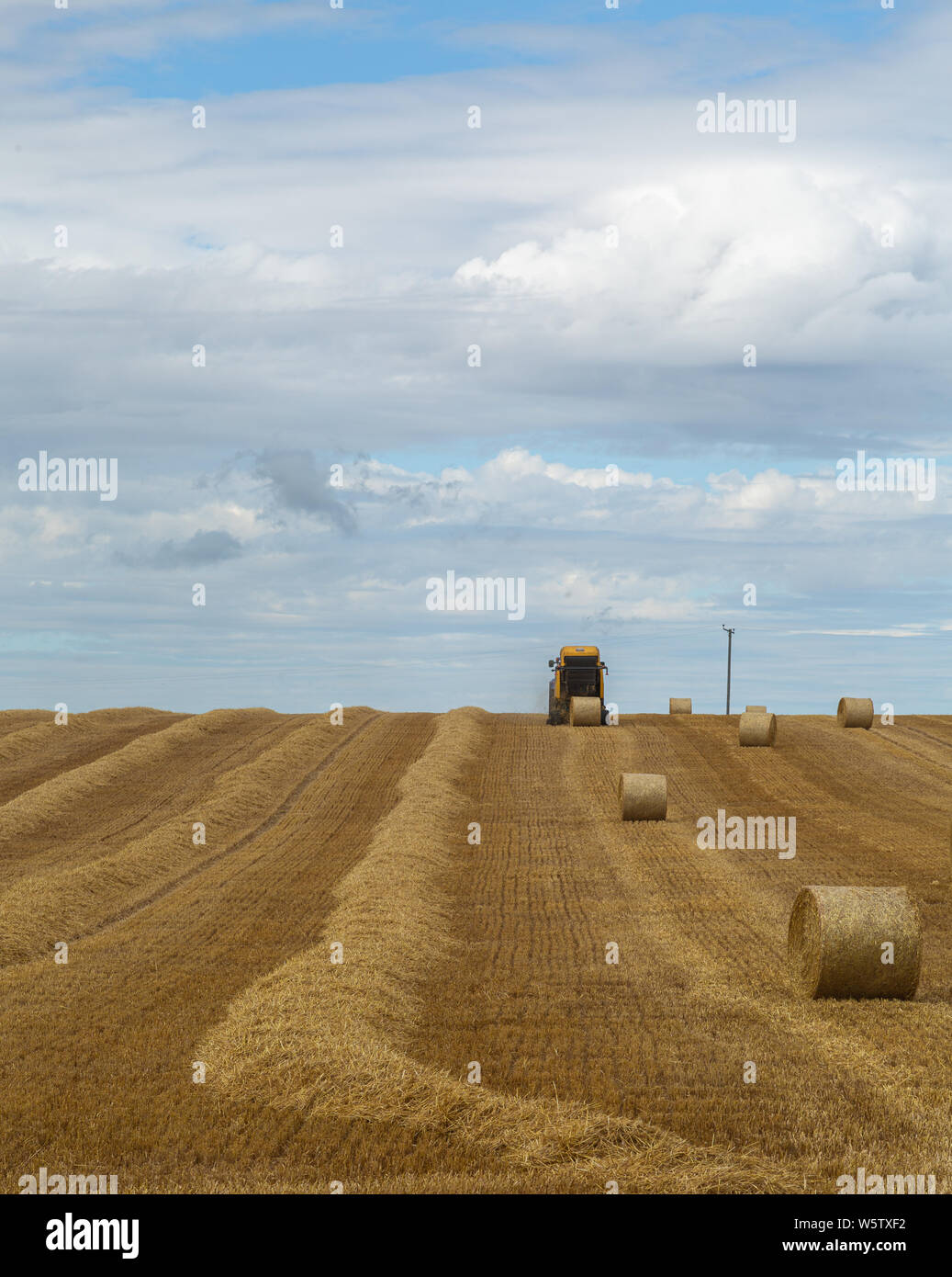 Sheep loader hi-res stock photography and images - Alamy