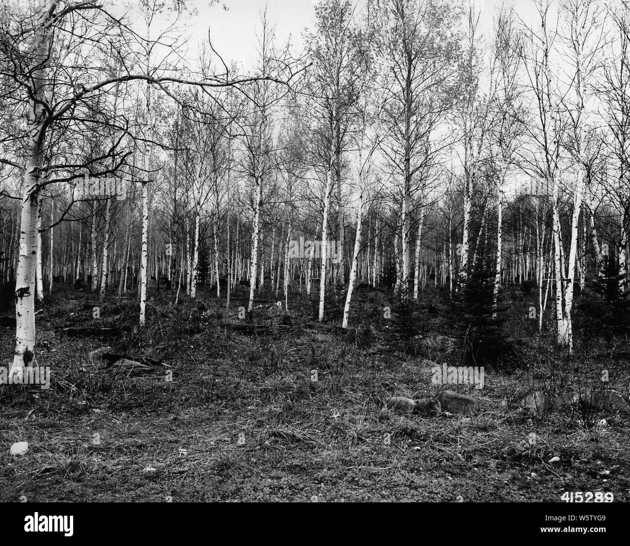 1 2 1939 Black and White Stock Photos & Images - Alamy