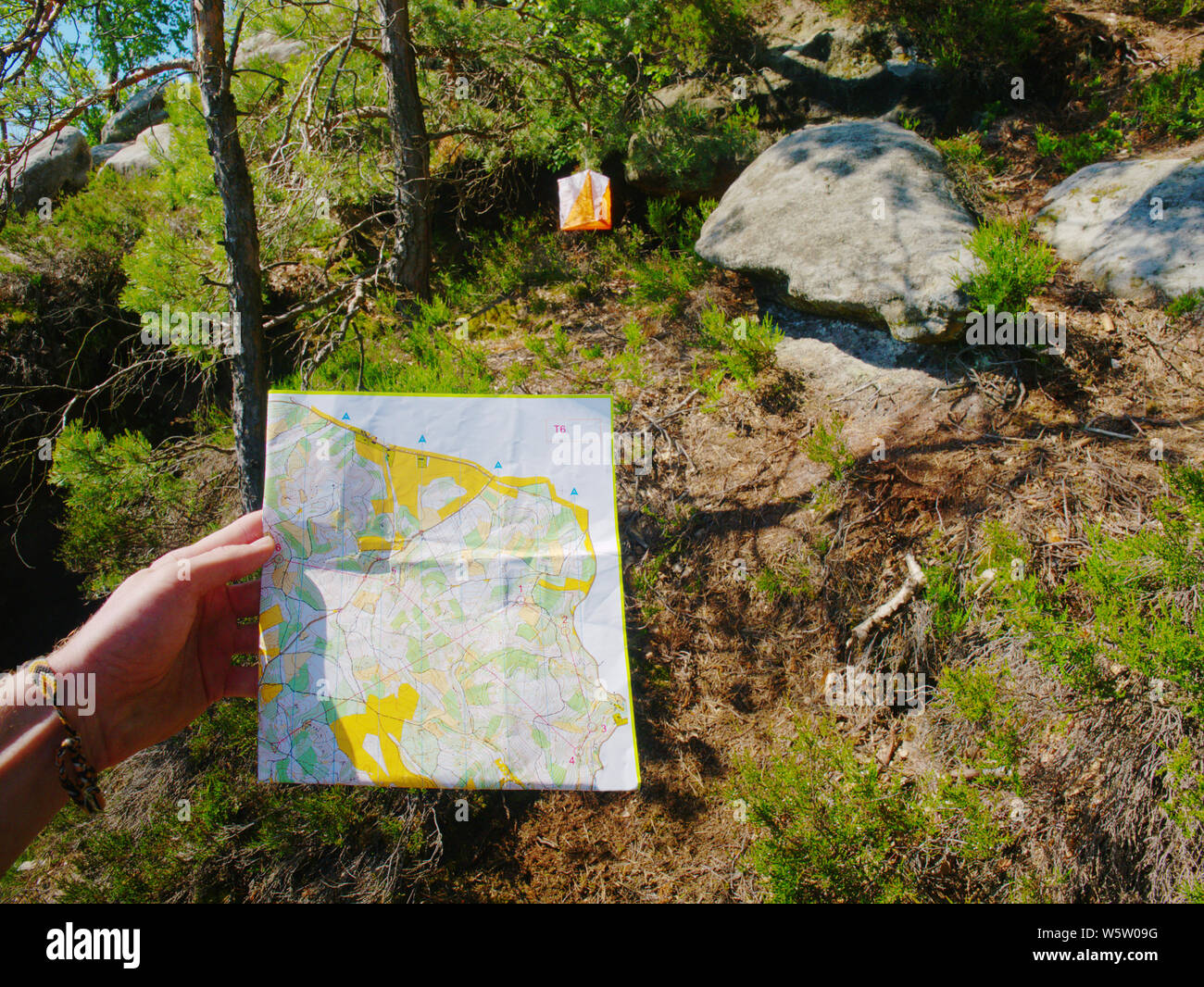 Check the map within orienteering run. Sportsman running in difficult ...