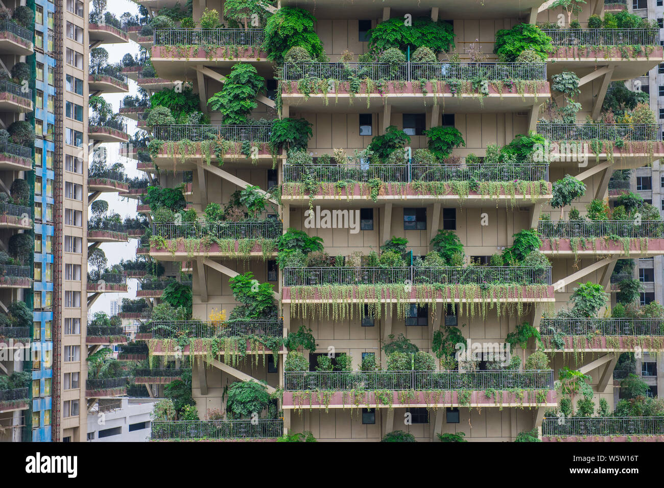 The balconies of newly-constructed residential buildings are decorated with green plants in ...