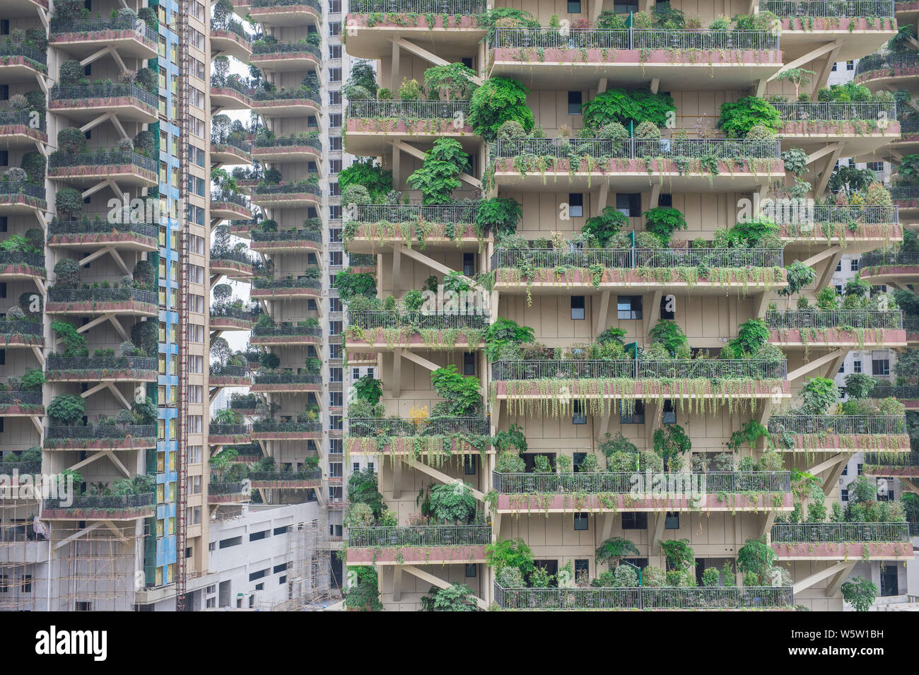 The balconies of newly-constructed residential buildings are decorated ...