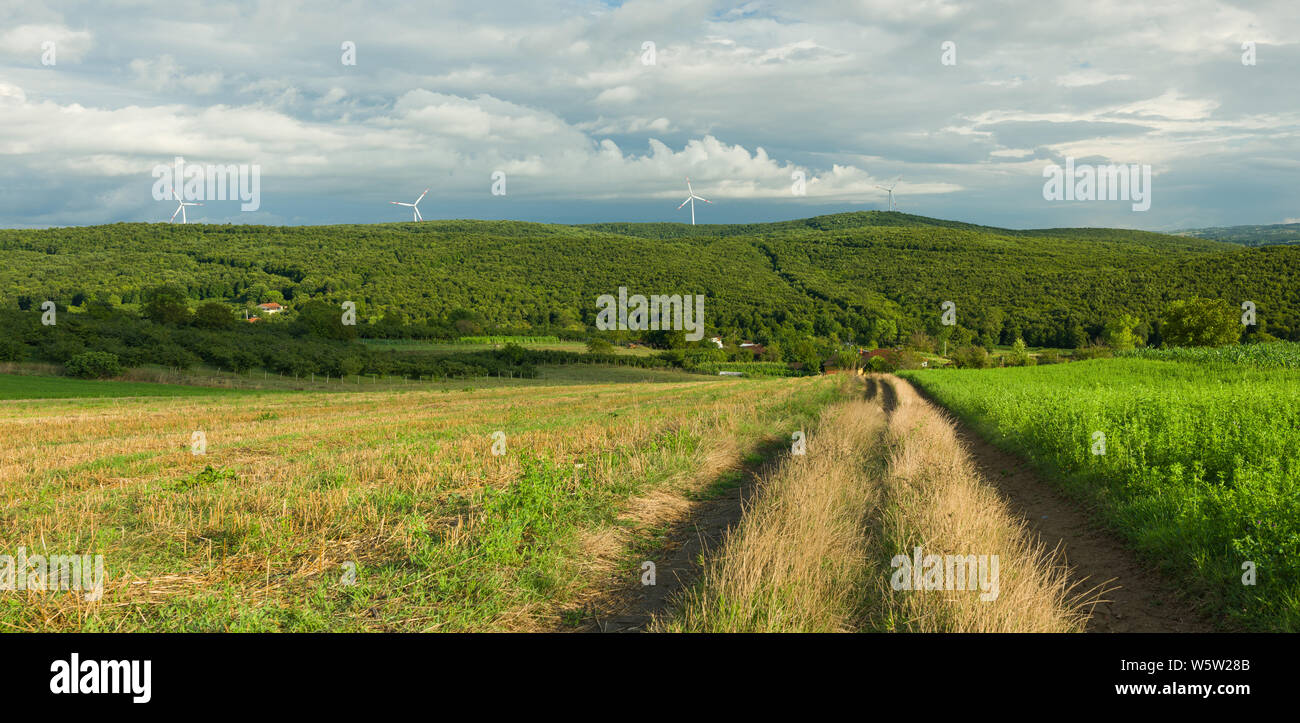 Road to farm, panoramic village view Stock Photo - Alamy