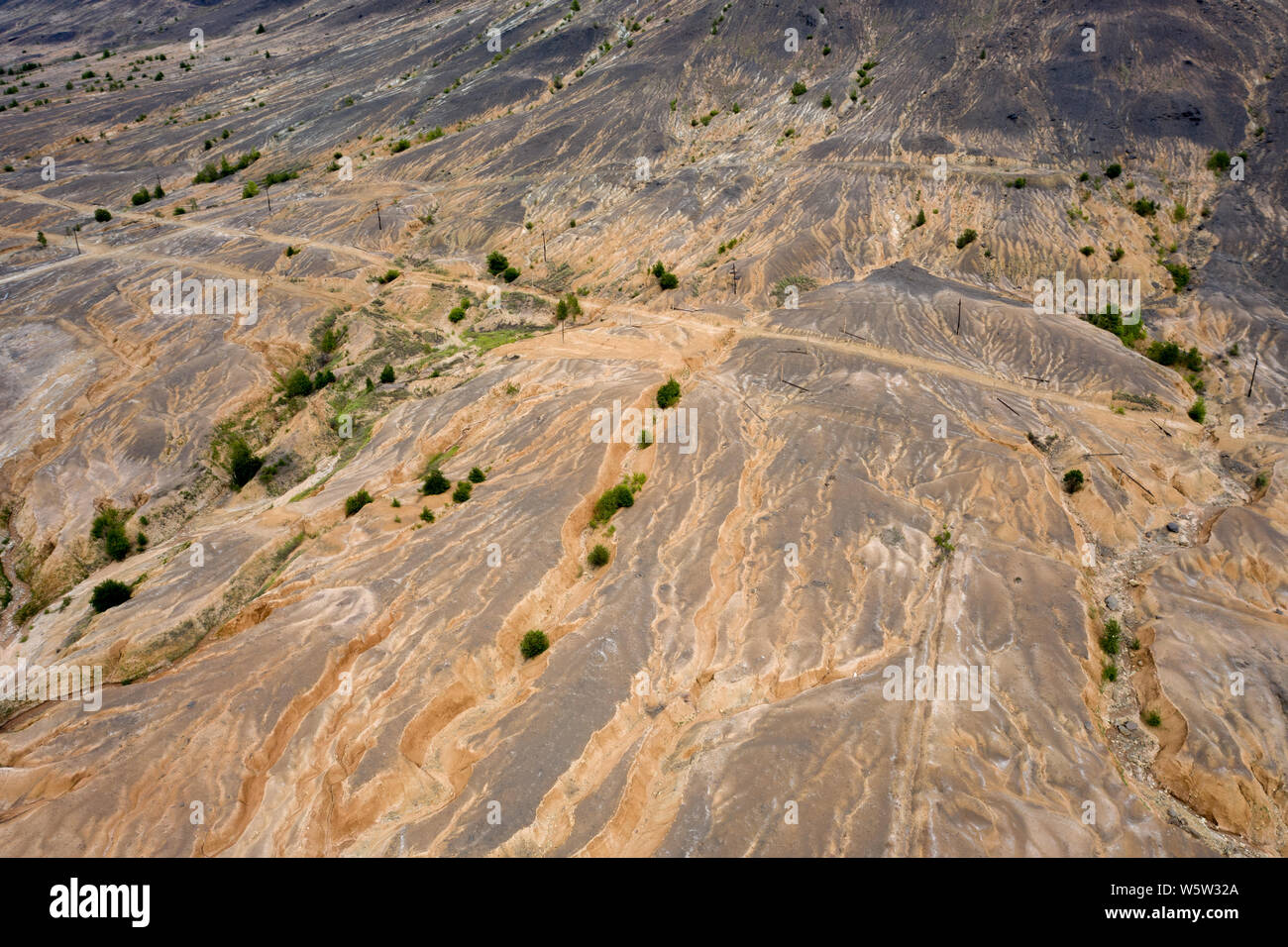 Dead vegetation hi-res stock photography and images - Alamy