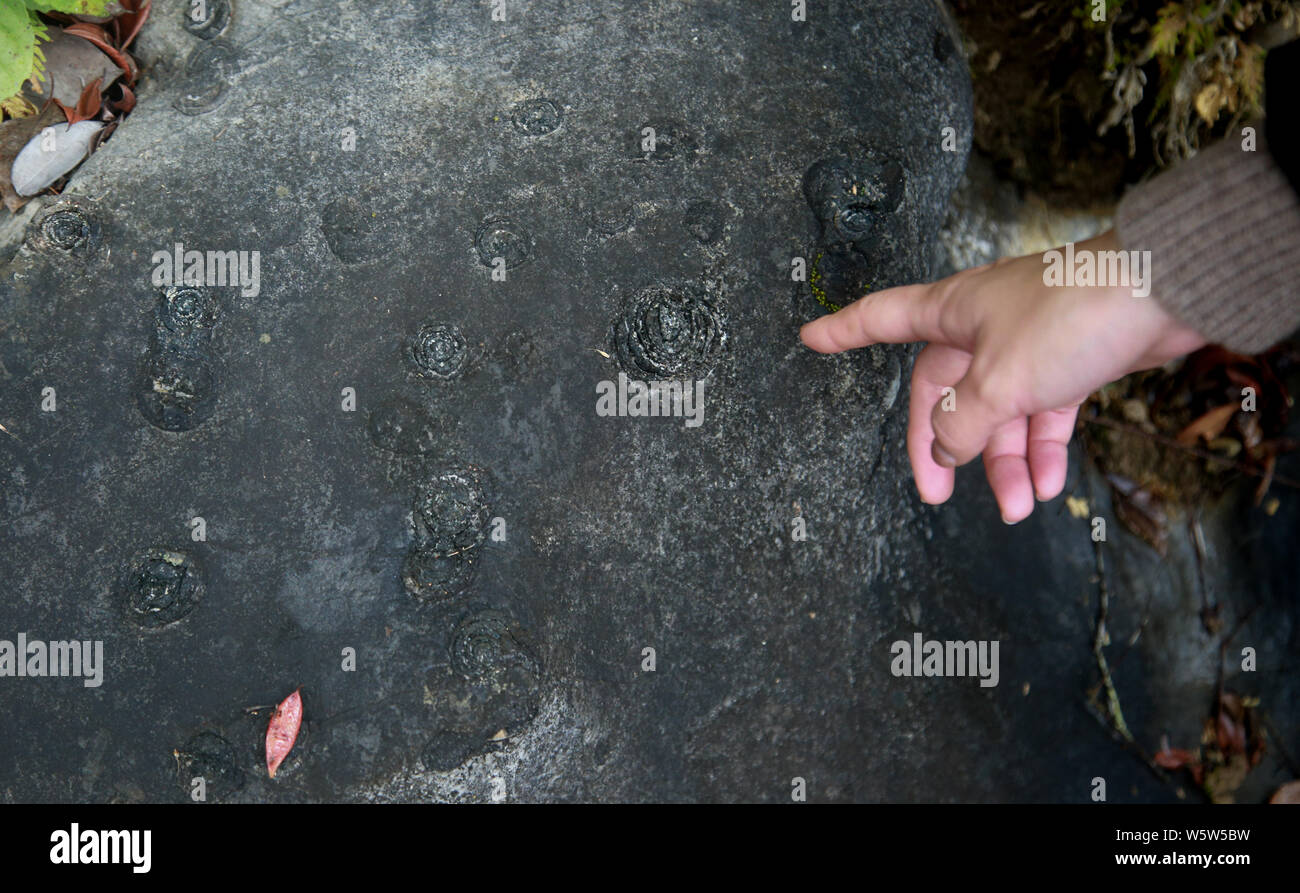 The "stone flowers", which are chert nodules, blossom at the Changshou ...