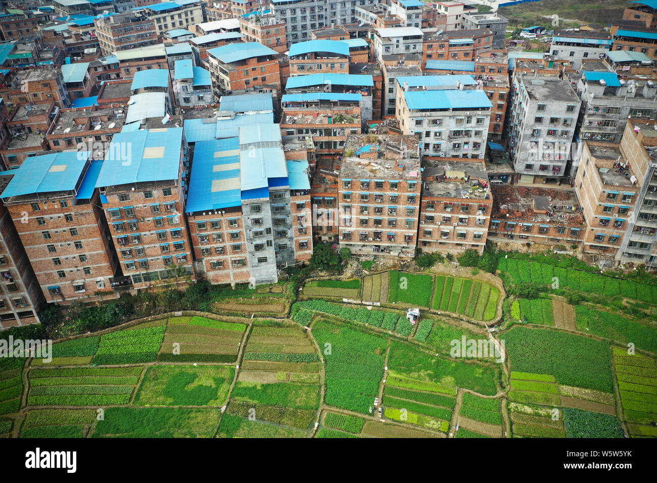 Aerial view of illegally-built blue rooftops built by apartment owners ...