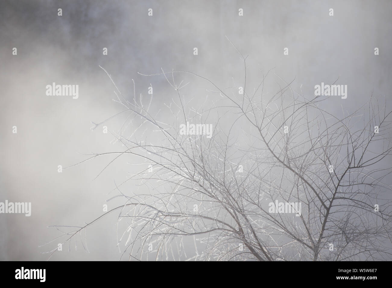 Landscape of the Rime Island in the Songhua River in Jilin city ...