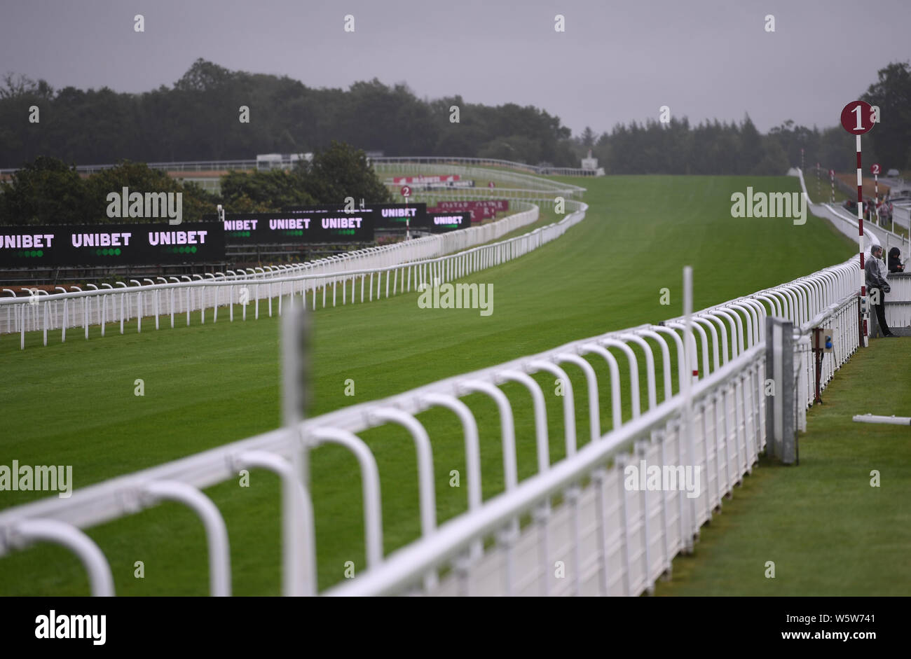 Goodwood Race Course, Chichester, UK. 30th July, 2019. Qatar Goodwood ...